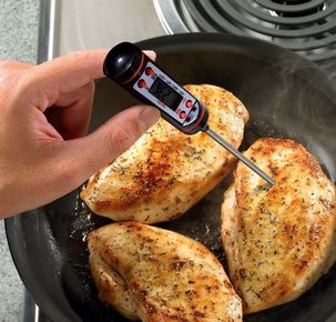 Digital Thermometer TP101